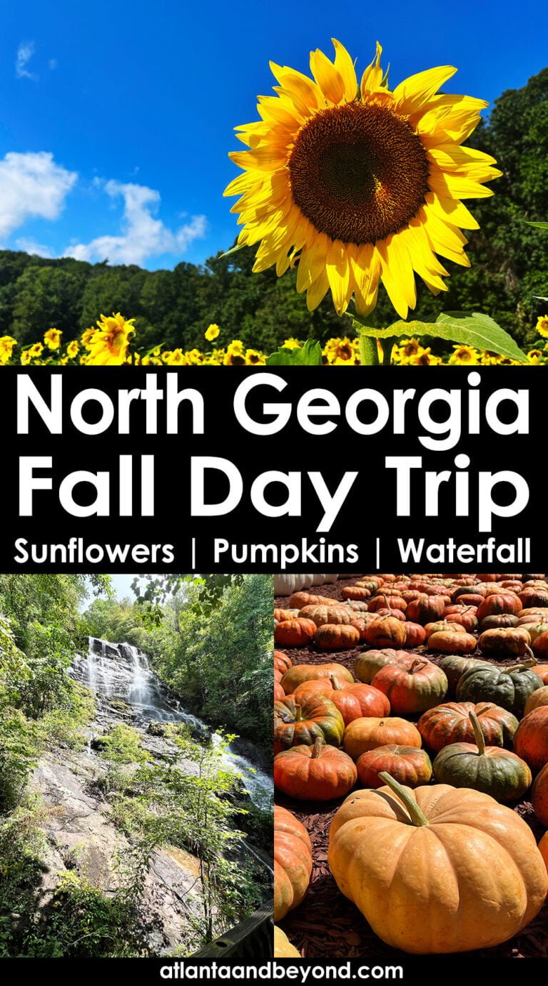 Fall Day Trip to North Georgia: Sunflowers, Pumpkins & Waterfalls ...