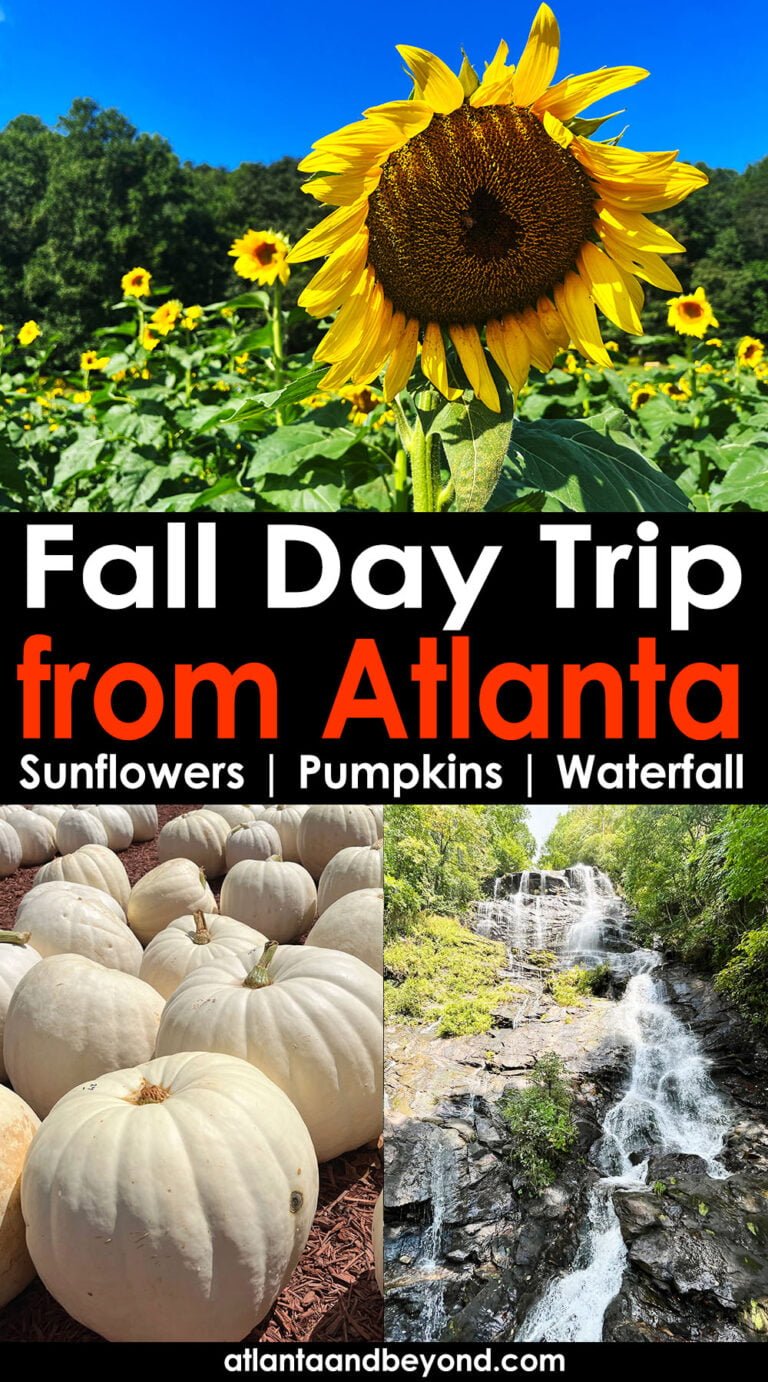 Fall Day Trip to North Georgia: Sunflowers, Pumpkins & Waterfalls ...