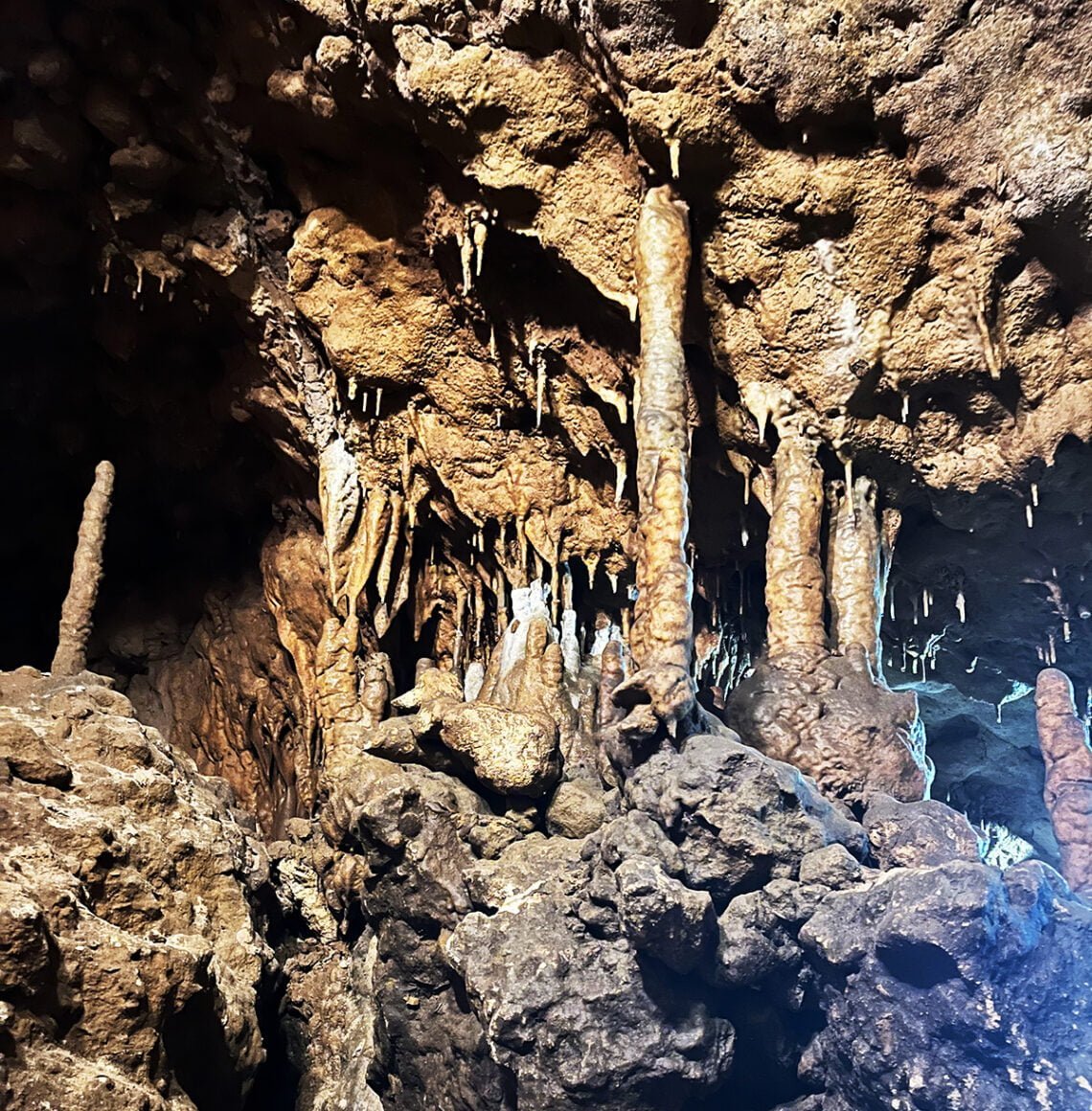 Florida Caverns State Park - Atlanta and Beyond