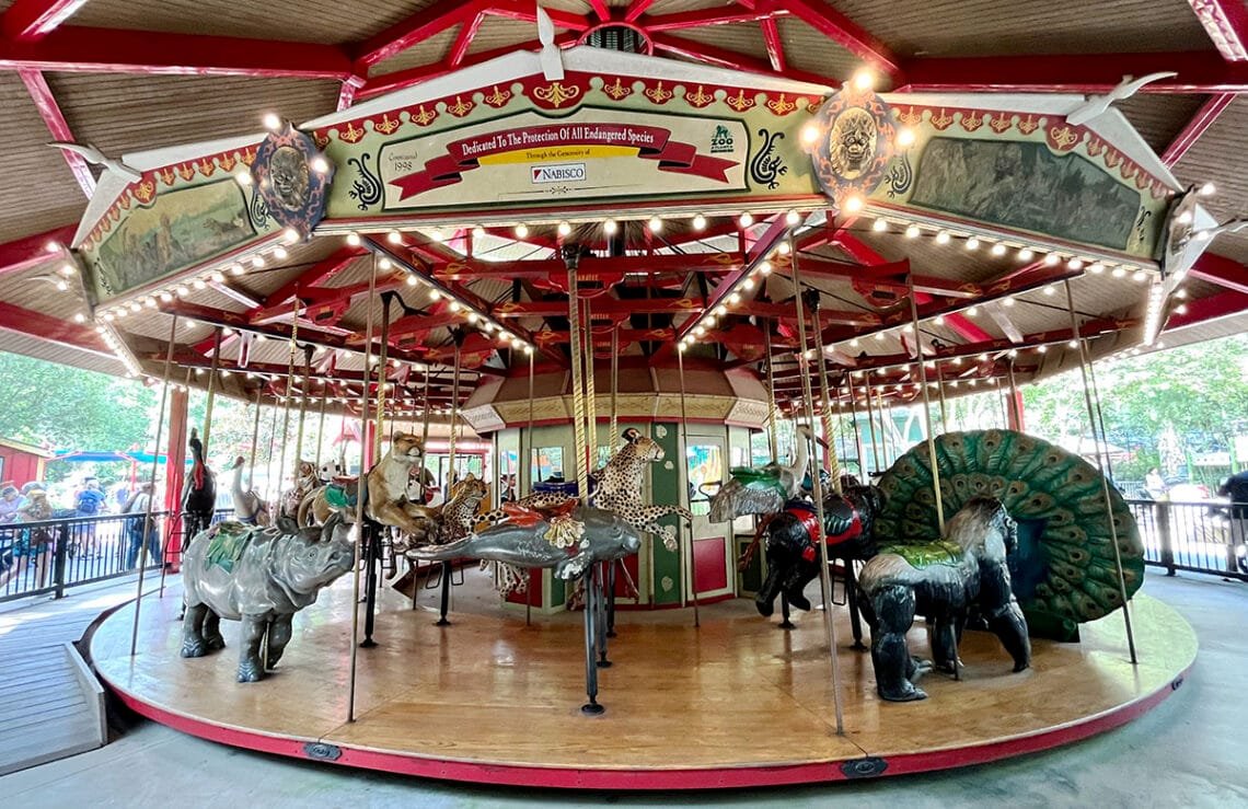 Inside Zoo Atlanta: Local Guide & Insider Tips - Atlanta and Beyond