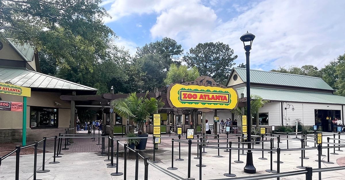 Inside Zoo Atlanta: Local Guide & Insider Tips - Atlanta and Beyond