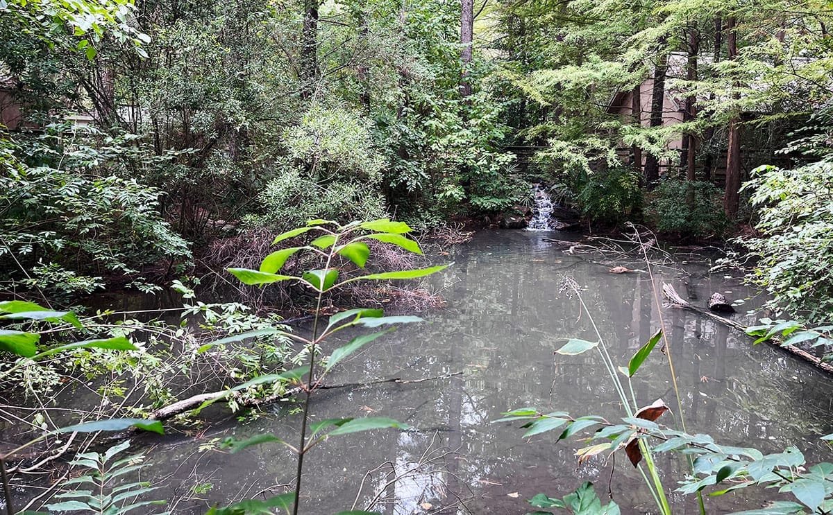 Inside Zoo Atlanta: Local Guide & Insider Tips - Atlanta and Beyond