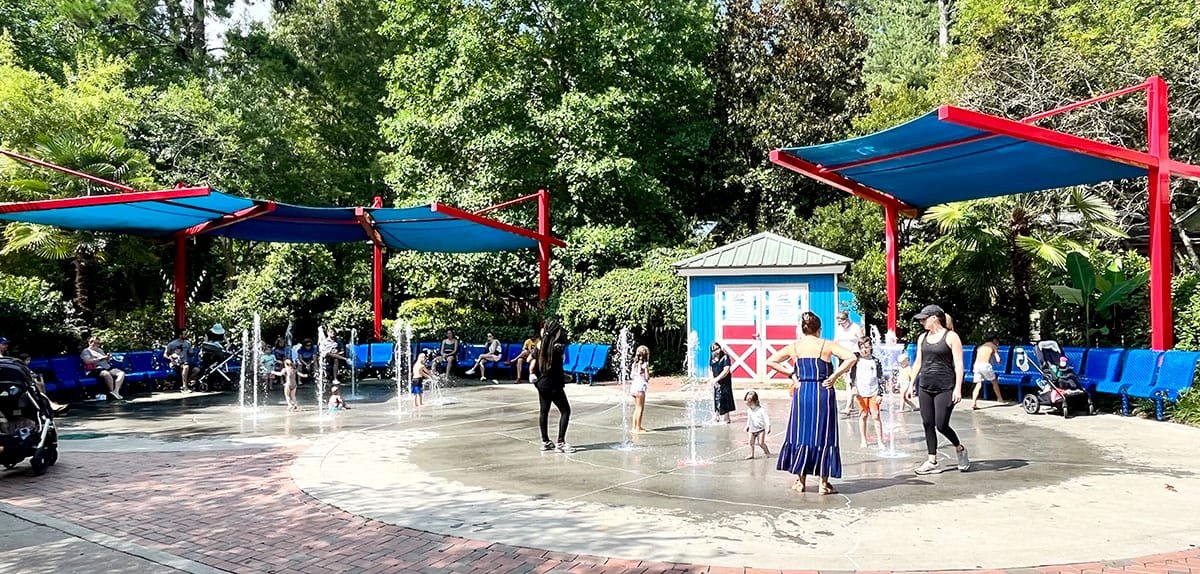 Inside Zoo Atlanta: Local Guide & Insider Tips - Atlanta and Beyond