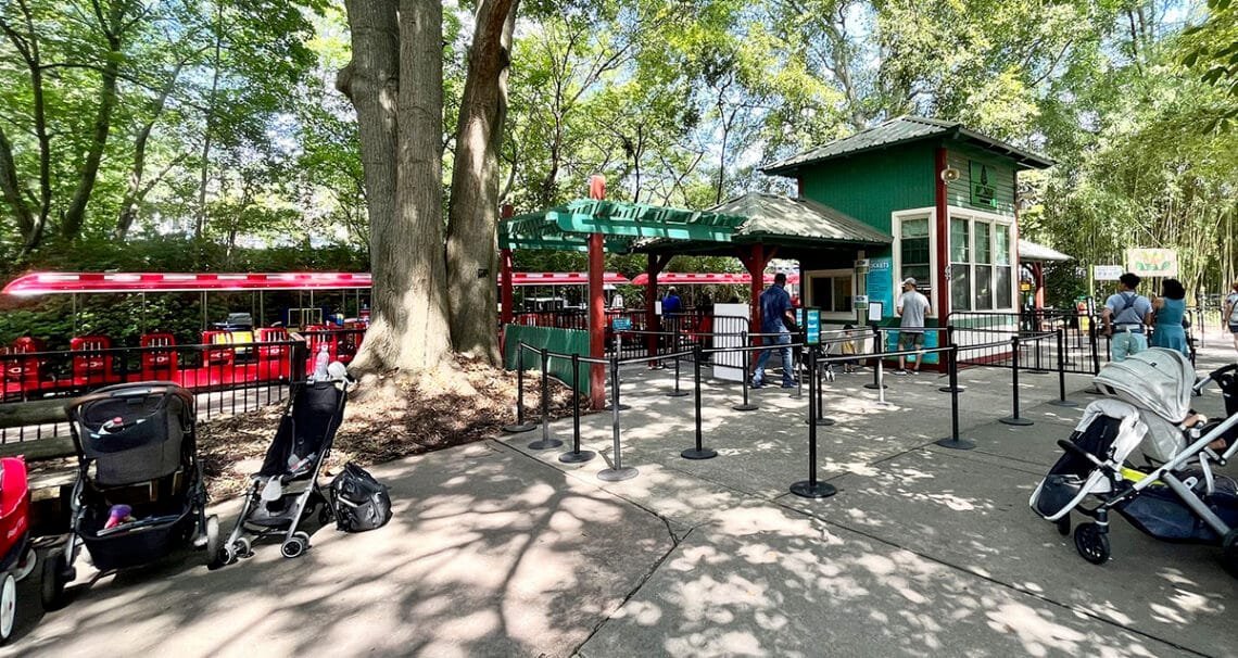 Inside Zoo Atlanta: Local Guide & Insider Tips - Atlanta and Beyond