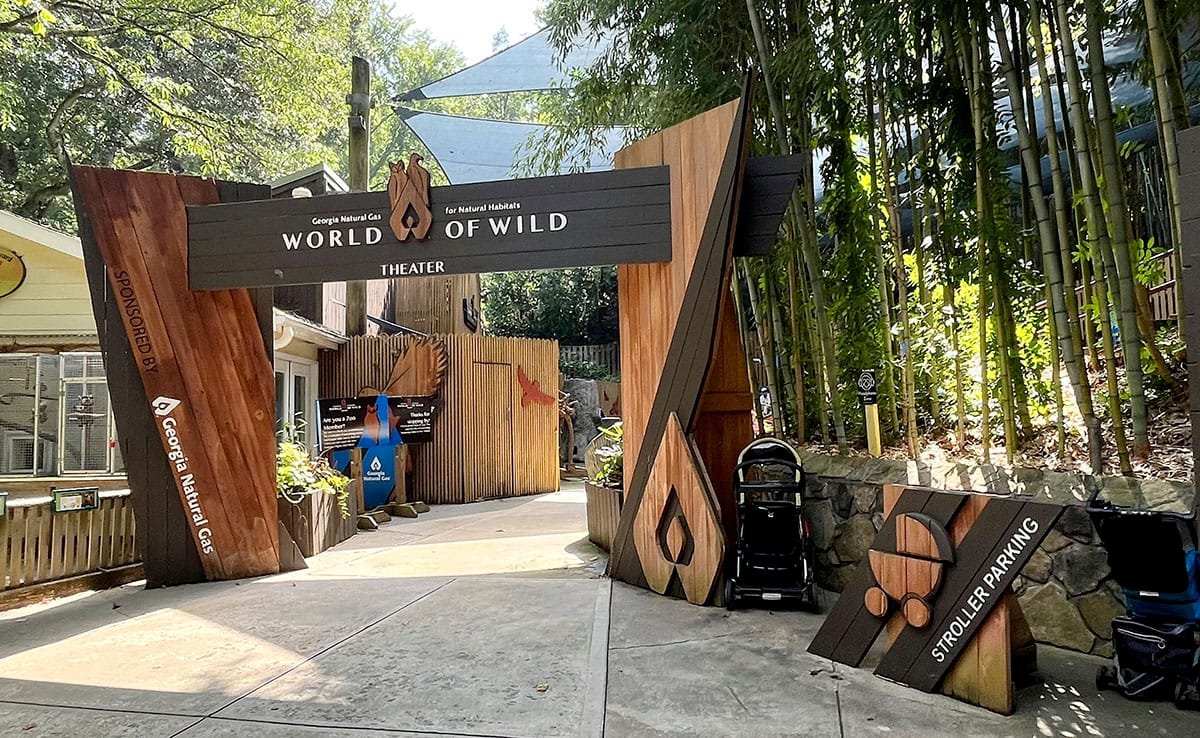 Inside Zoo Atlanta: Local Guide & Insider Tips - Atlanta and Beyond