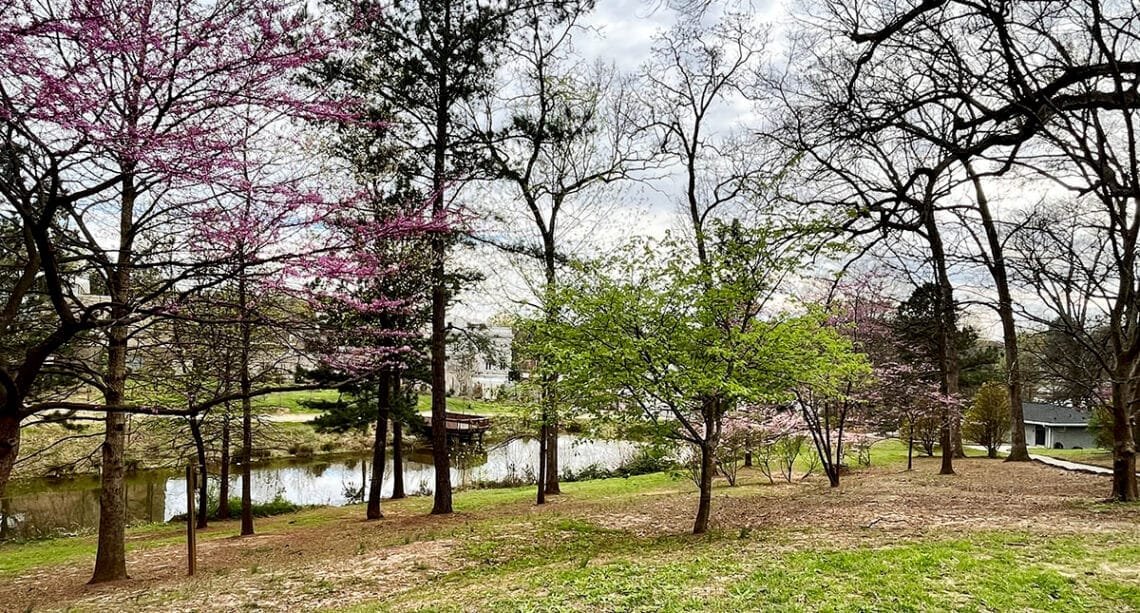 Atlanta: Grant Park Neighborhood Guide - Atlanta and Beyond