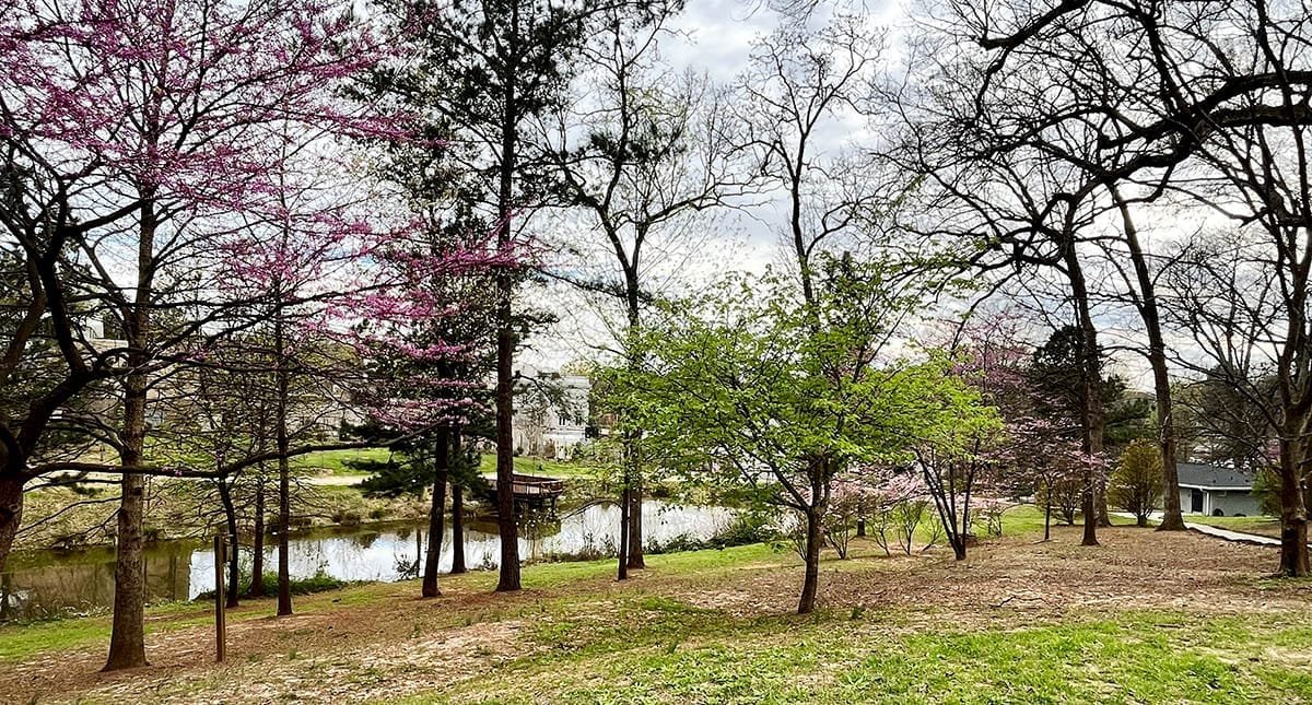 Atlanta: Grant Park Neighborhood Guide - Atlanta and Beyond