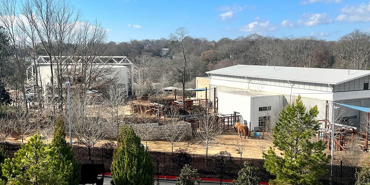 Atlanta: Grant Park Neighborhood Guide - Atlanta and Beyond