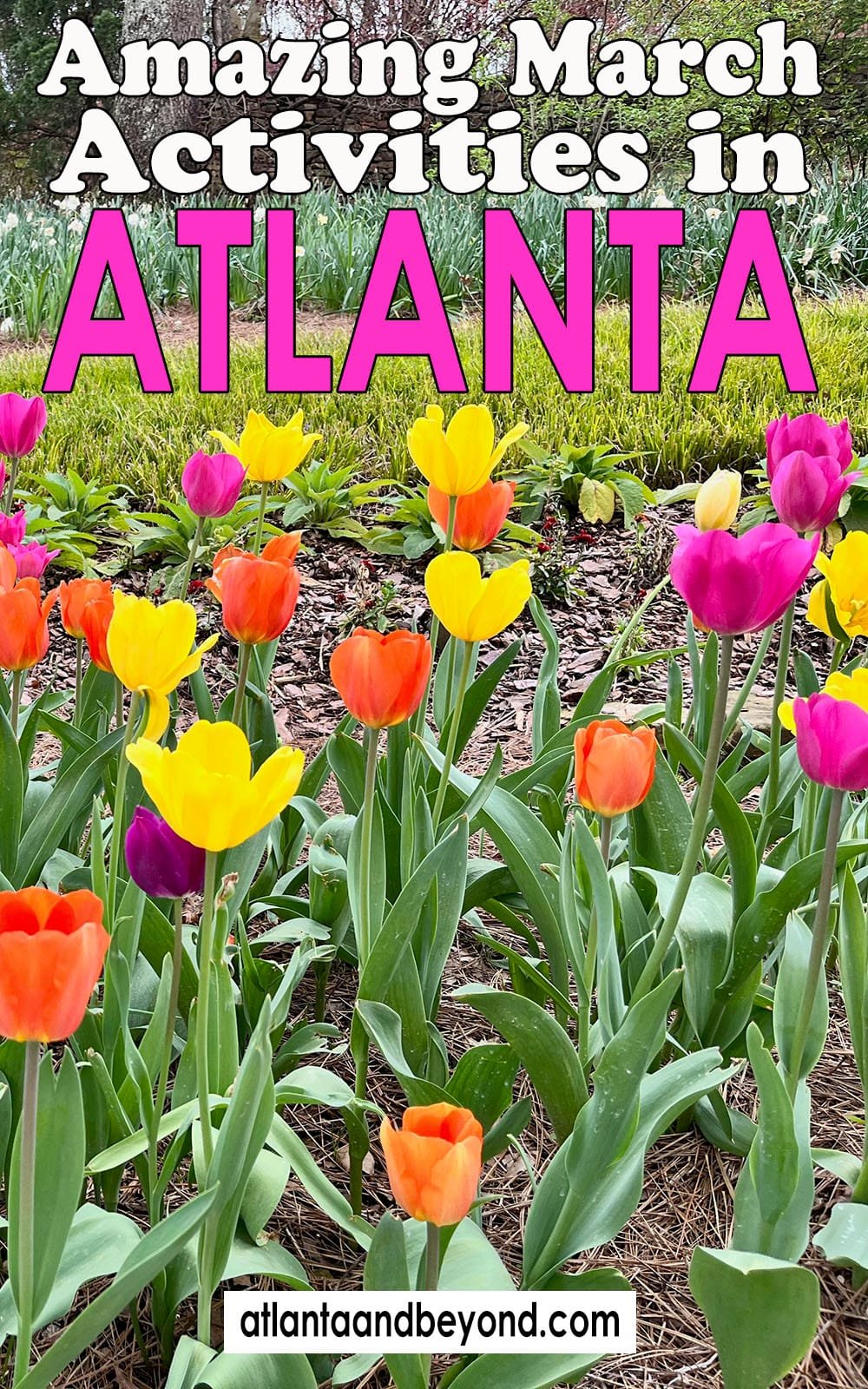 March 2025: Things to do in Atlanta & Beyond - Atlanta and Beyond
