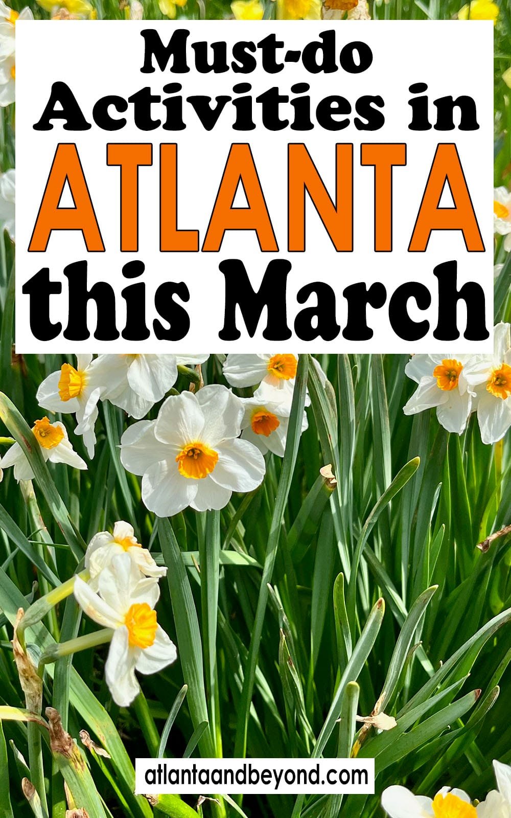 March 2025: Things to do in Atlanta & Beyond - Atlanta and Beyond