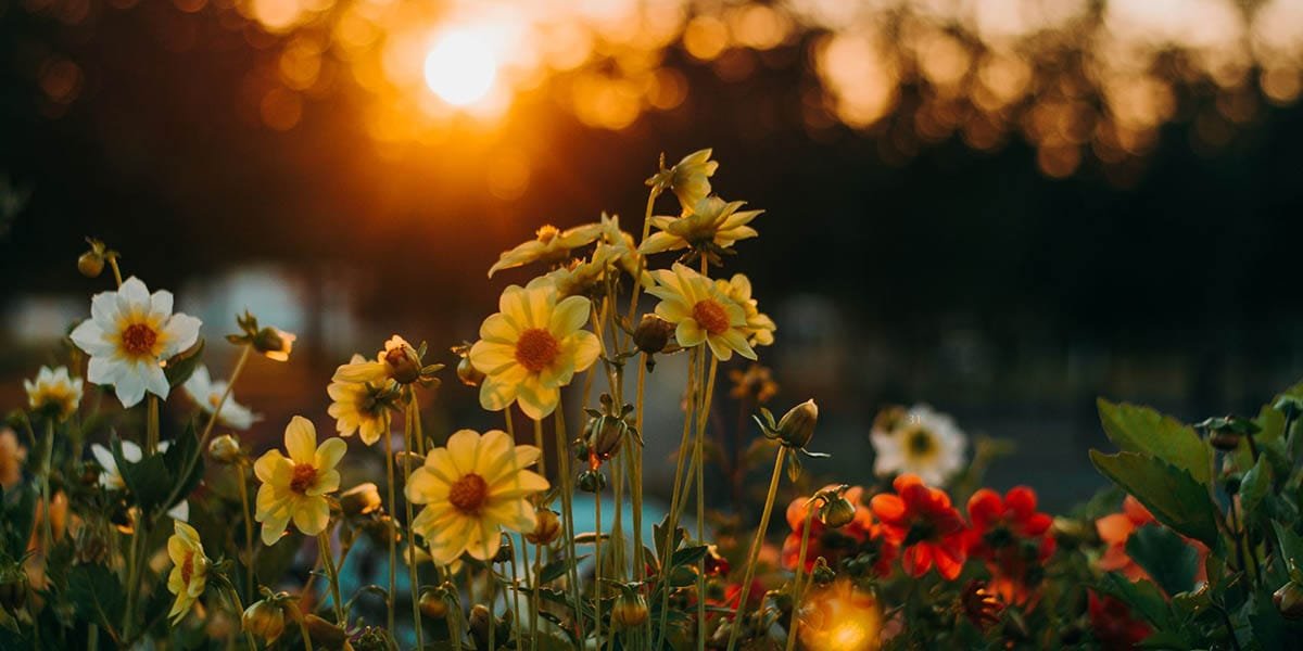 September 2025: Things to do in Atlanta & Beyond - Atlanta and Beyond